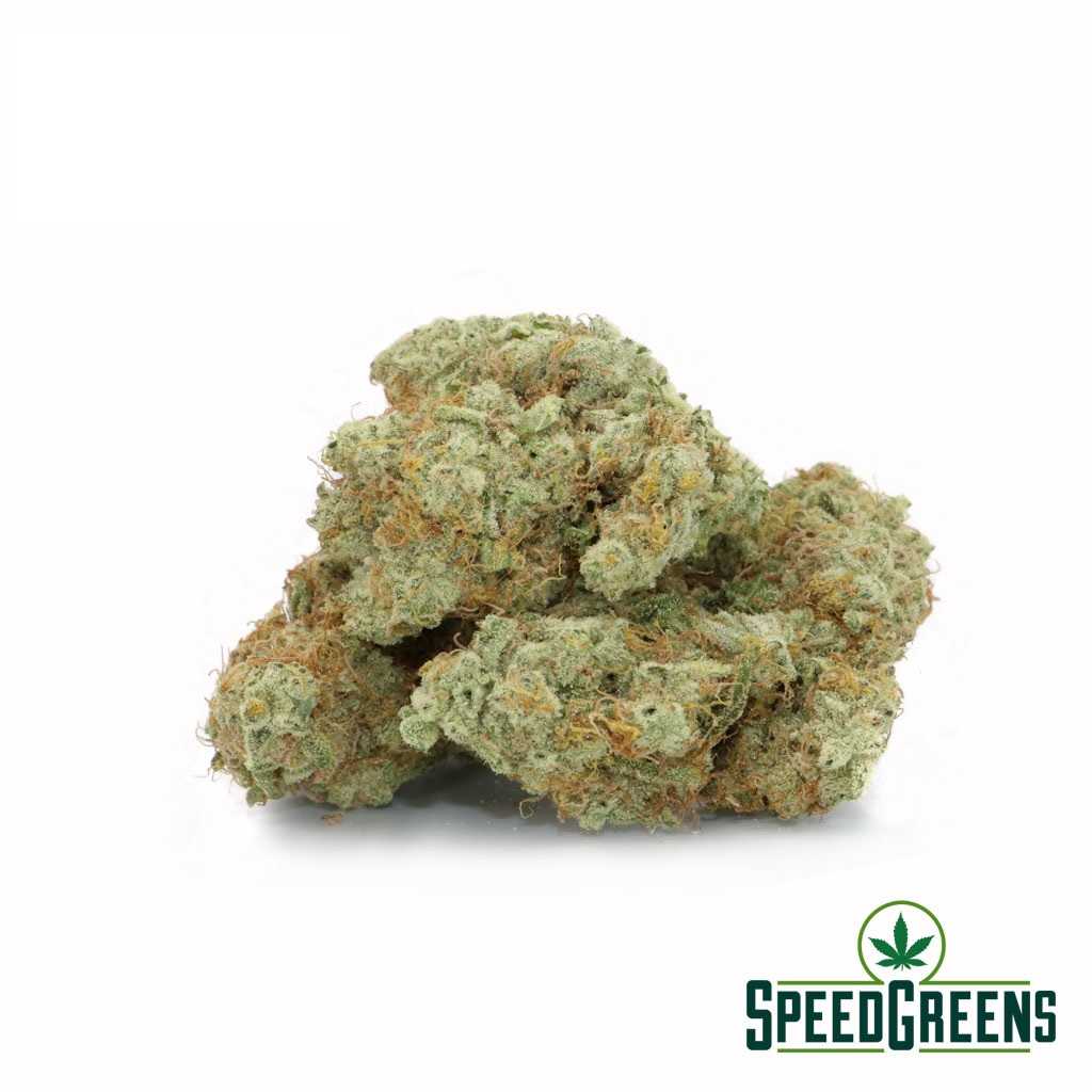 Chocolate Haze (AAAA) | Speed Greens