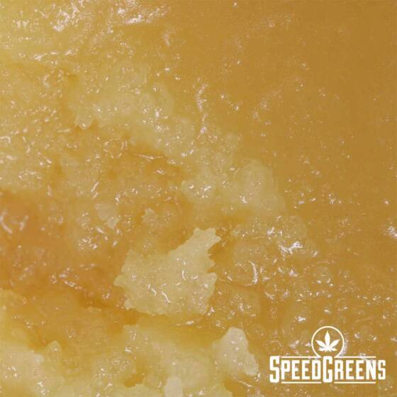Galaxy Extracts - Pink Panther Live Resin | Speed Greens