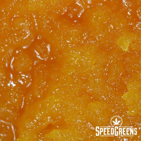 Galaxy Extracts - Gelato Live Resin | Speed Greens