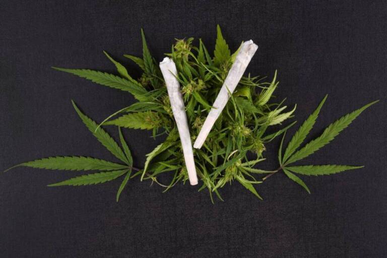 Why You Should Smoke Weed: Benefits and Ways