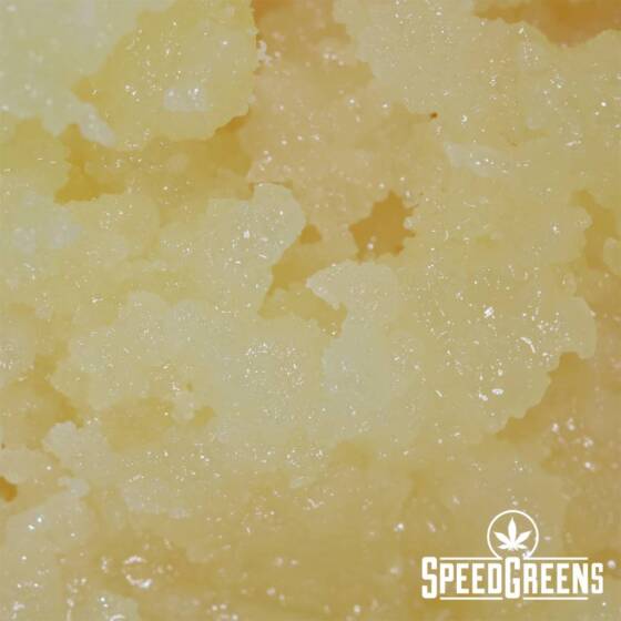 Galaxy Extracts - Platinum Cookies Live Resin | Speed Greens