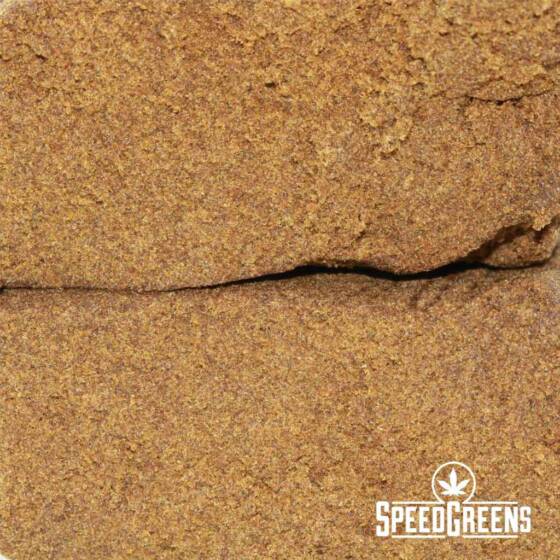 Moroccan Critical Hash | Premium Imported Hash | Speed Greens