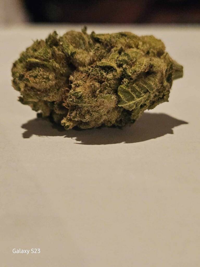 Chimp Mintz | $59/Oz | SPEED SPECIAL | Speed Greens