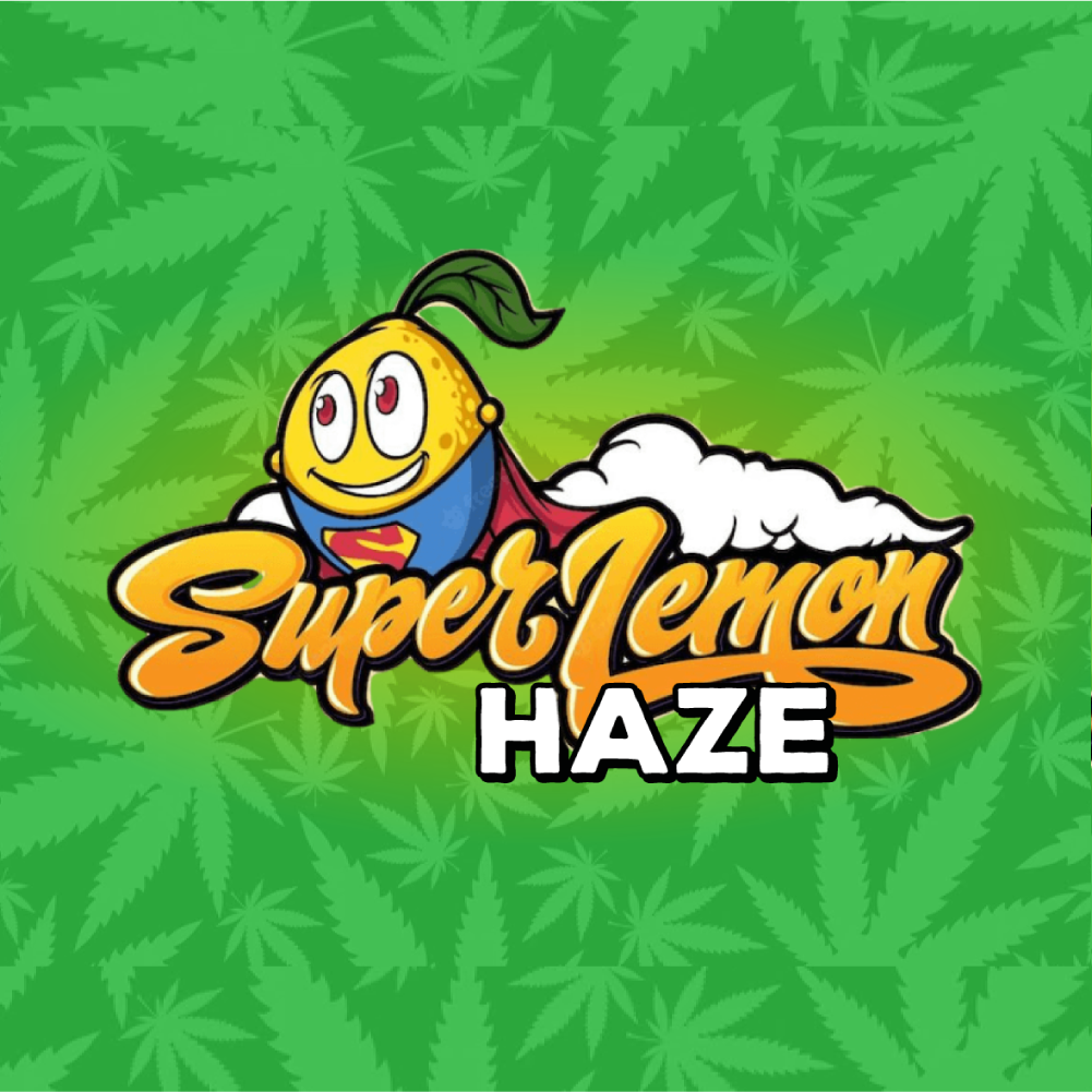 SUPER LEMON HAZE Organic Cold Cured | By Frost Factory ® | Speed Greens