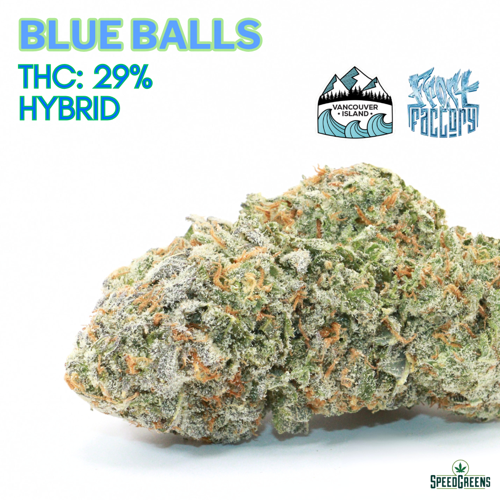 BLUE BALLS Organic Cold Cured | by Frost Factory® | Speed Greens