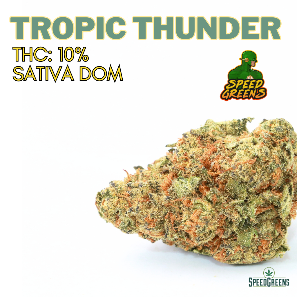 Tropic Thunder AA Sativa $99/Oz | Speed Special